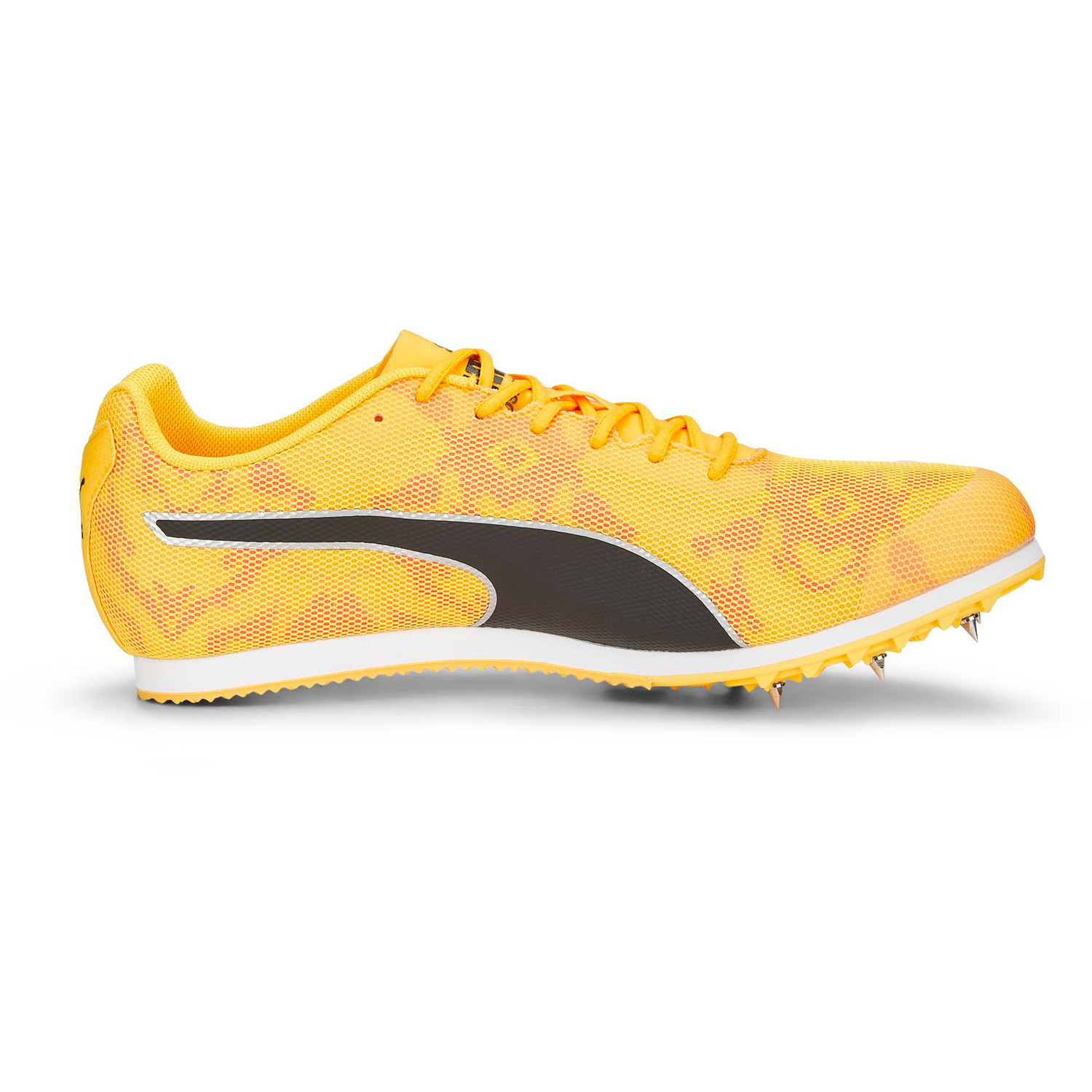 PUMA evoSPEED Star 8 - RunningDirect.de