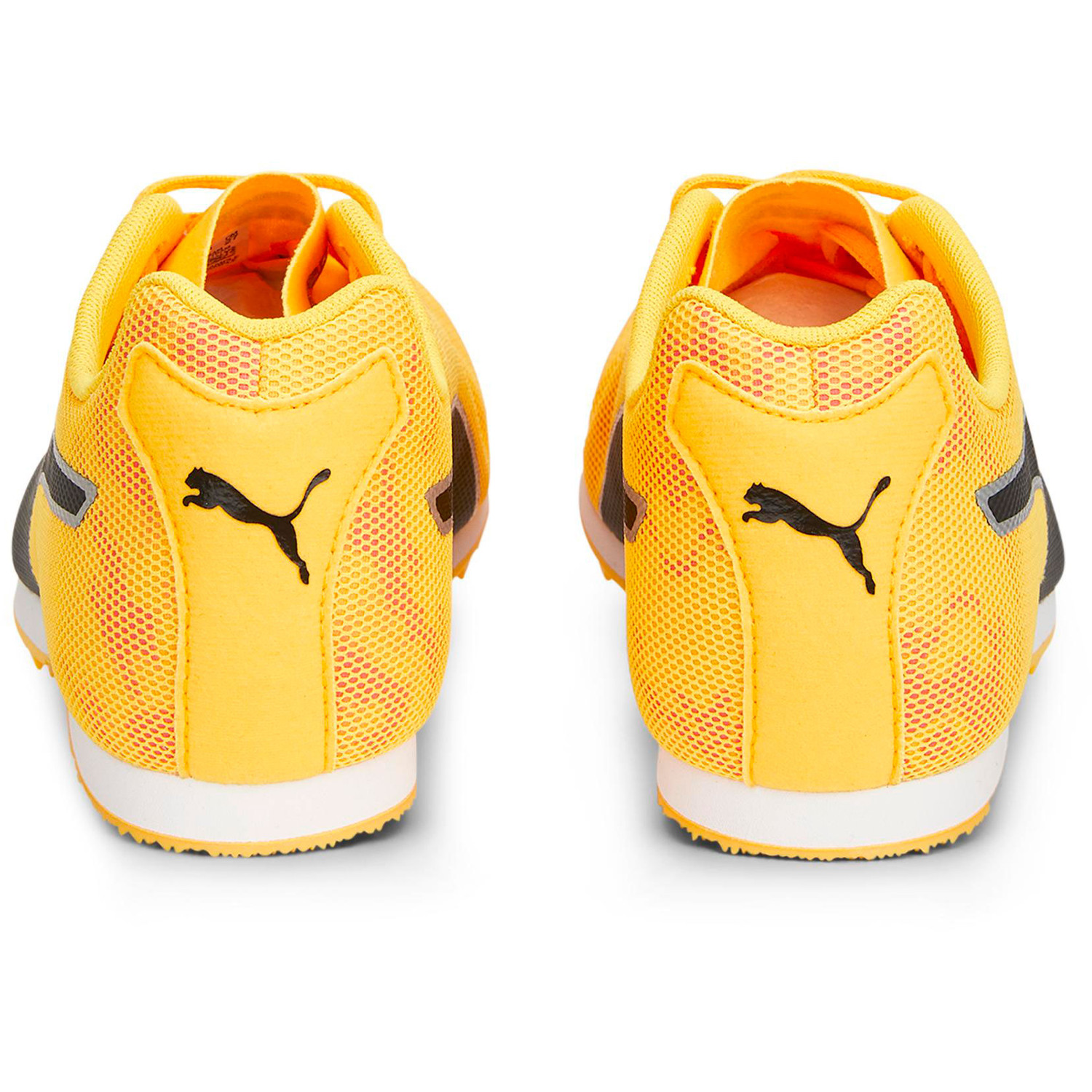 PUMA evoSPEED Star 8 - RunningDirect.de