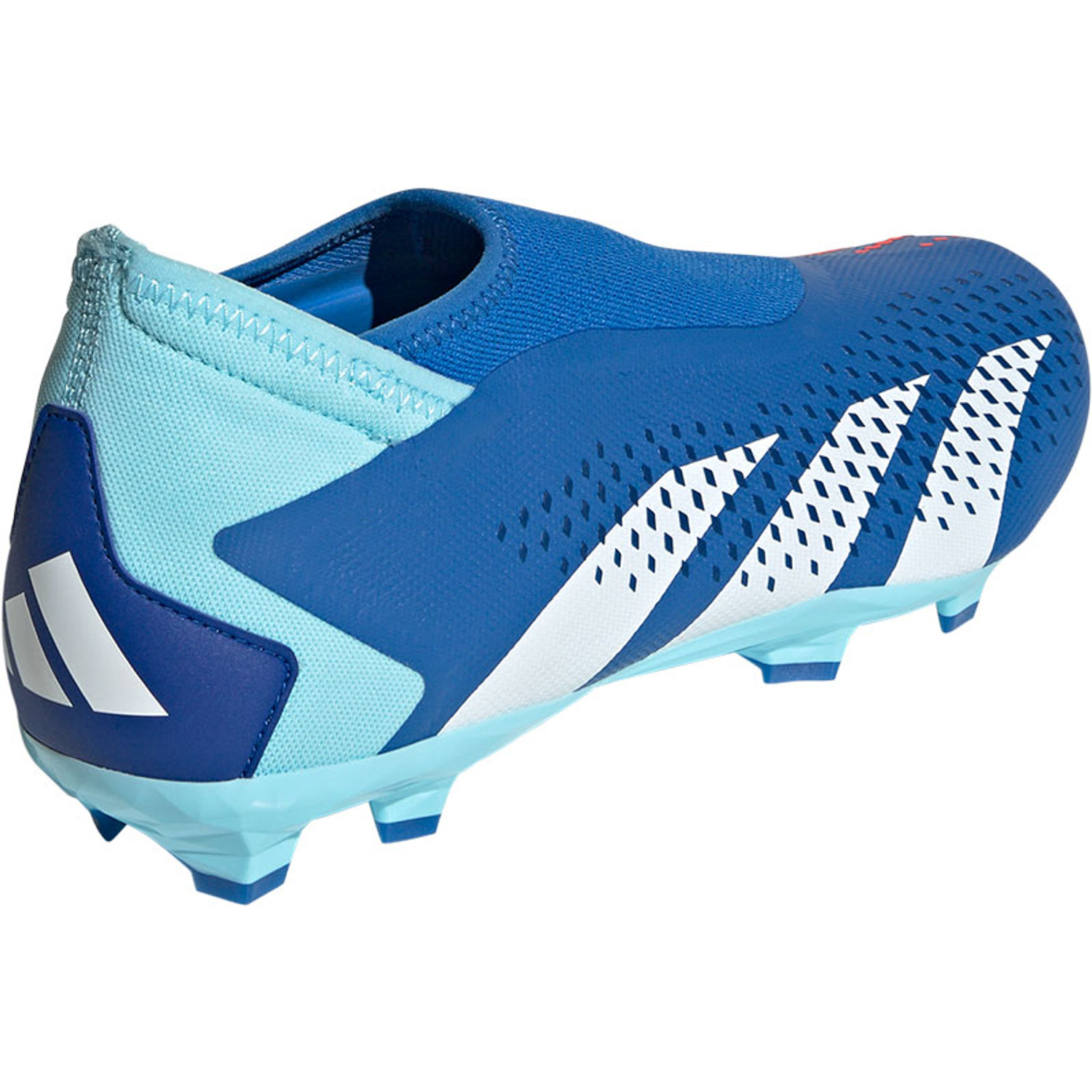 adidas Predator Accuracy .3 Laceless FG | Bij VoetbalDirect.nl