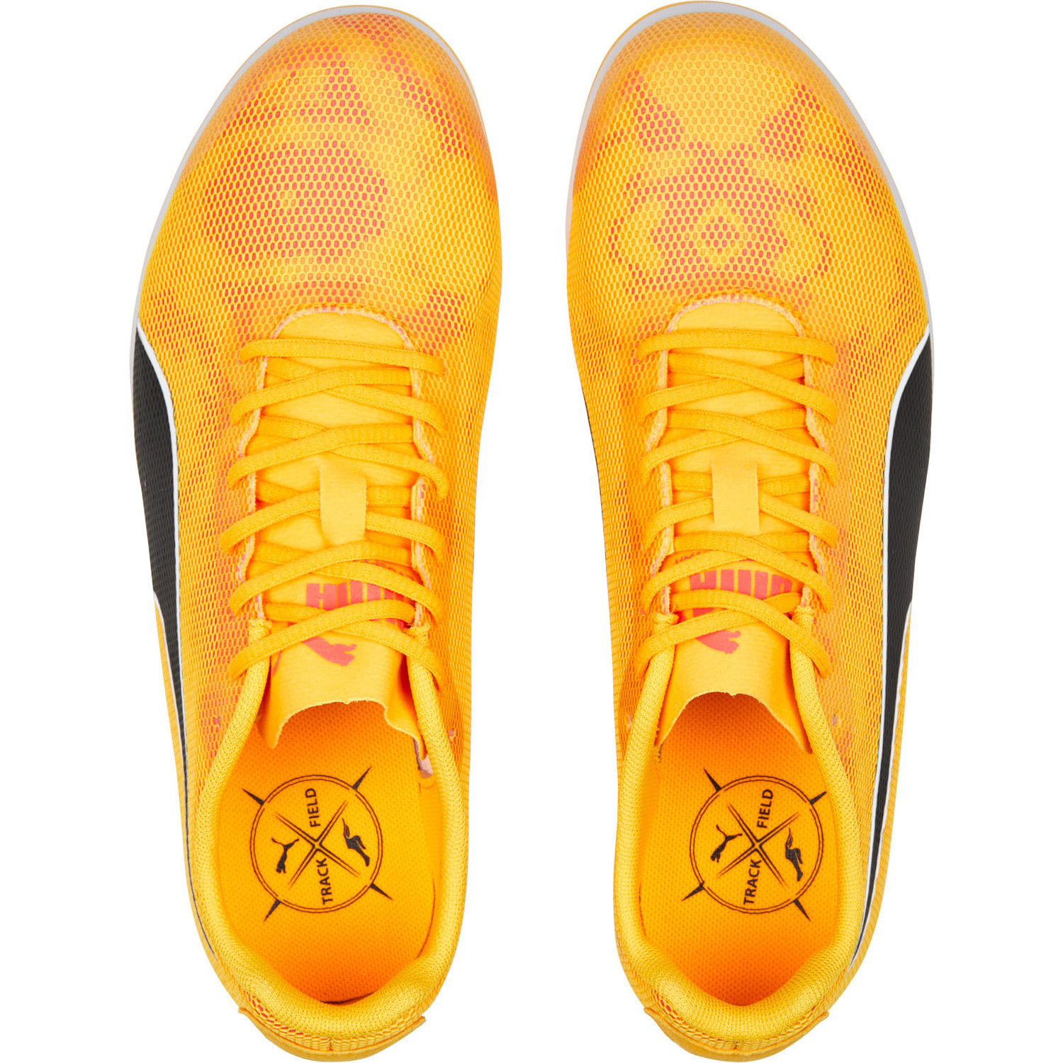 PUMA evoSPEED Star 8 Kinder - RunningDirect.de