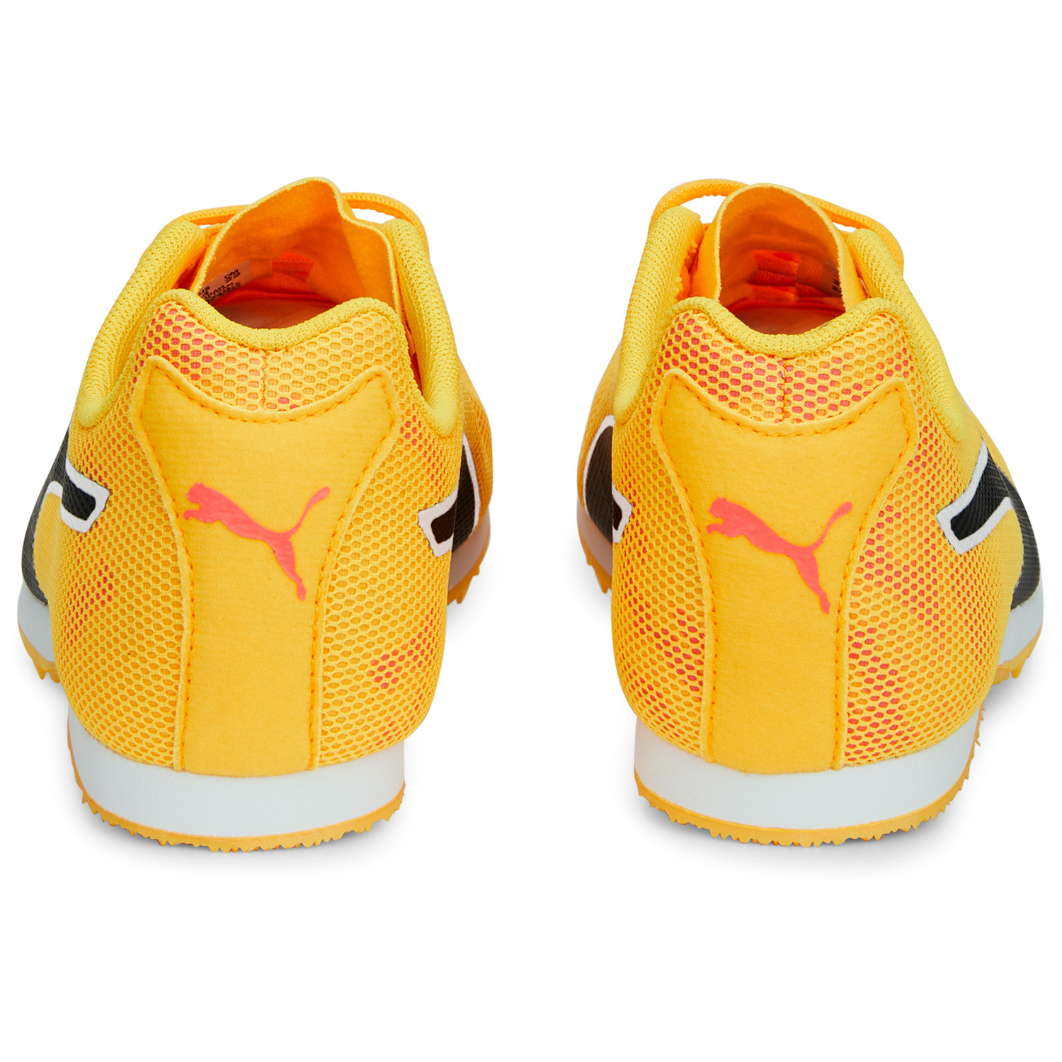 PUMA evoSPEED Star 8 Kinder - RunningDirect.de