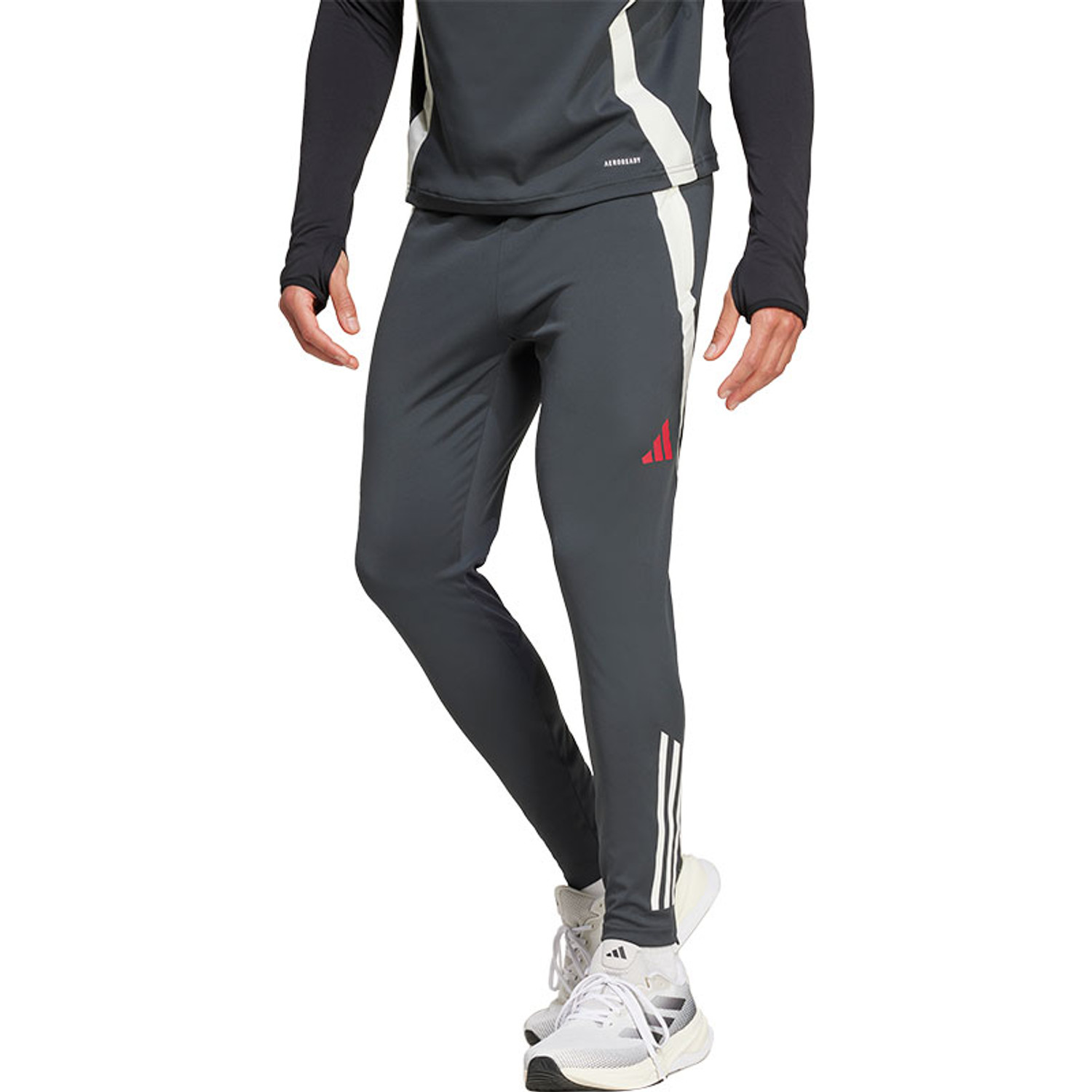 adidas Manchester United Training Pant 2024/2025 | Bij VoetbalDirect.nl