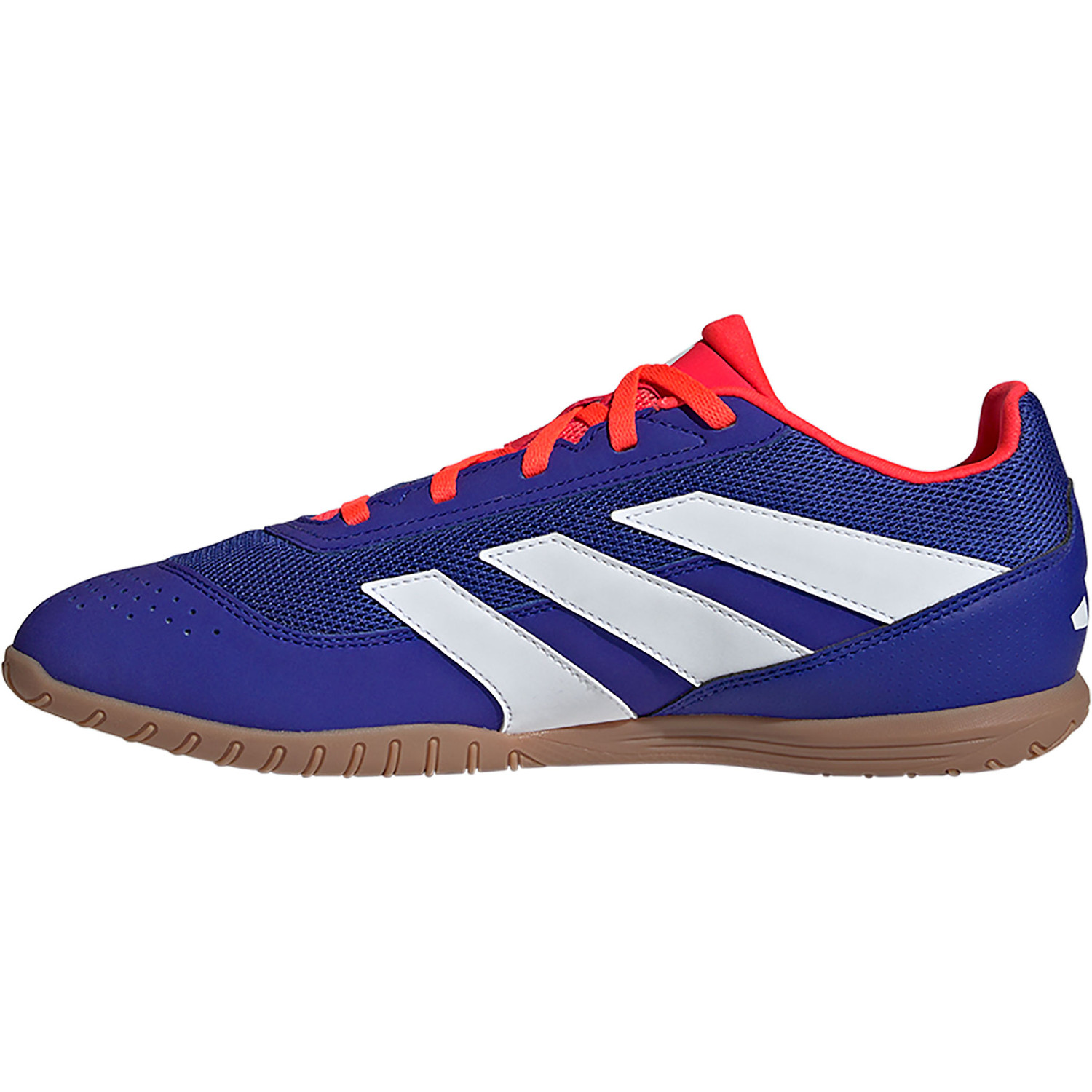 adidas Predator Club Indoor - Sportshop.com