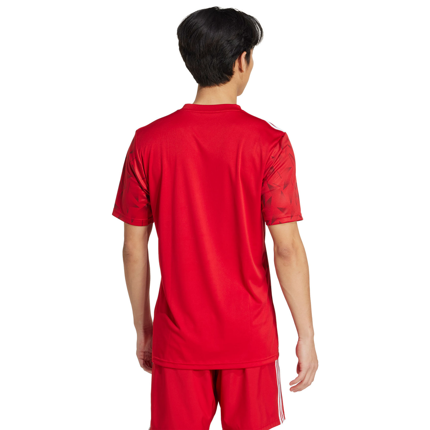 adidas Team Icon 25 Trainingsset - Handbollshop.se